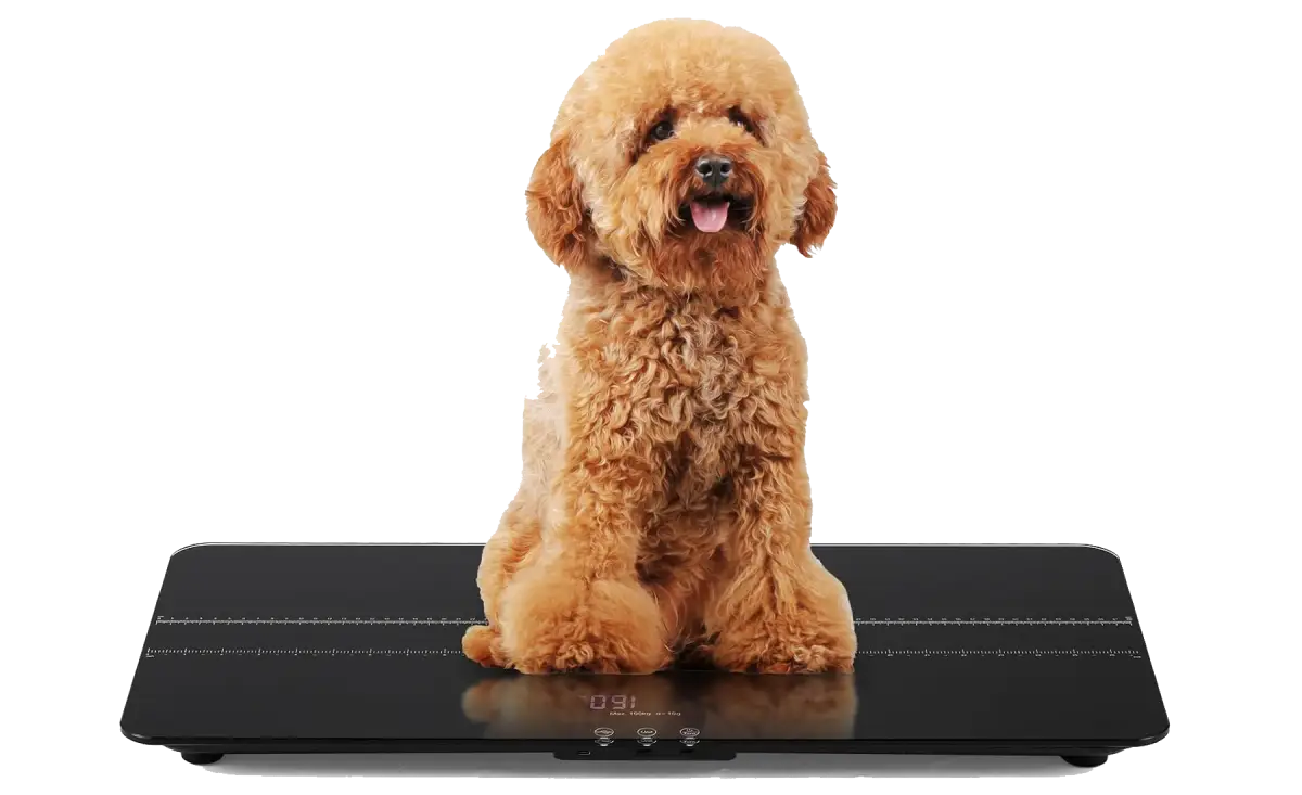 Bonvoisin Medium Pet Scale - Measurement Concepts